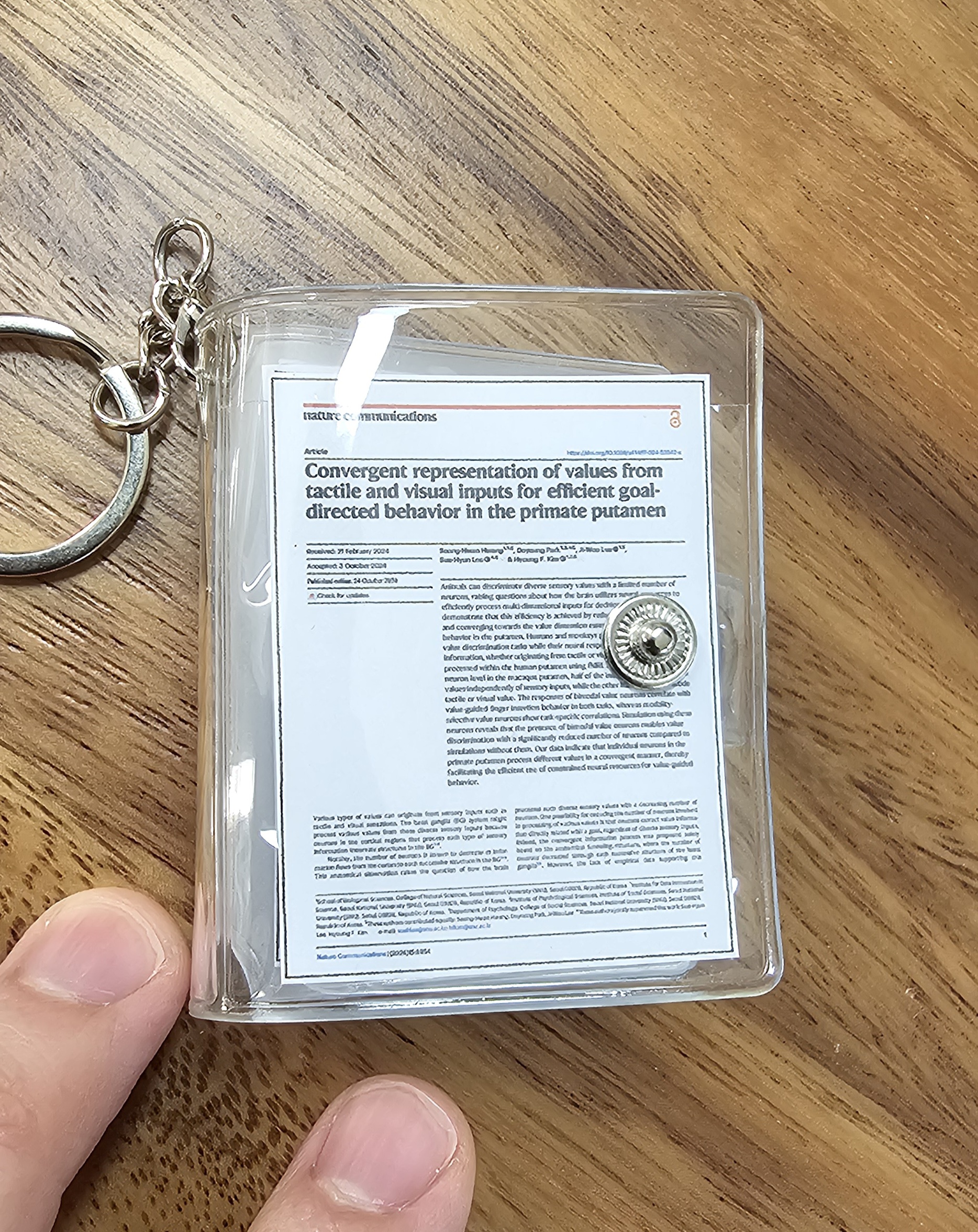 Tiny paper book for memory – Cognitive Circuitry Lab