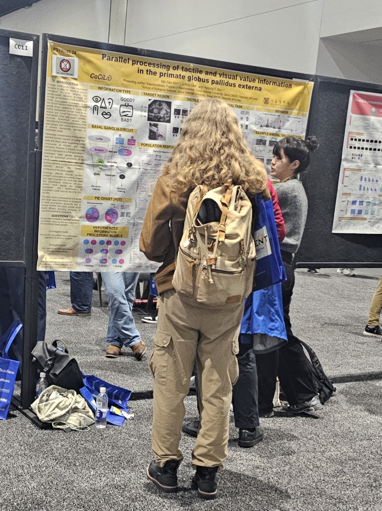 SfN 2025: Poster sessions – Cognitive Circuitry Lab
